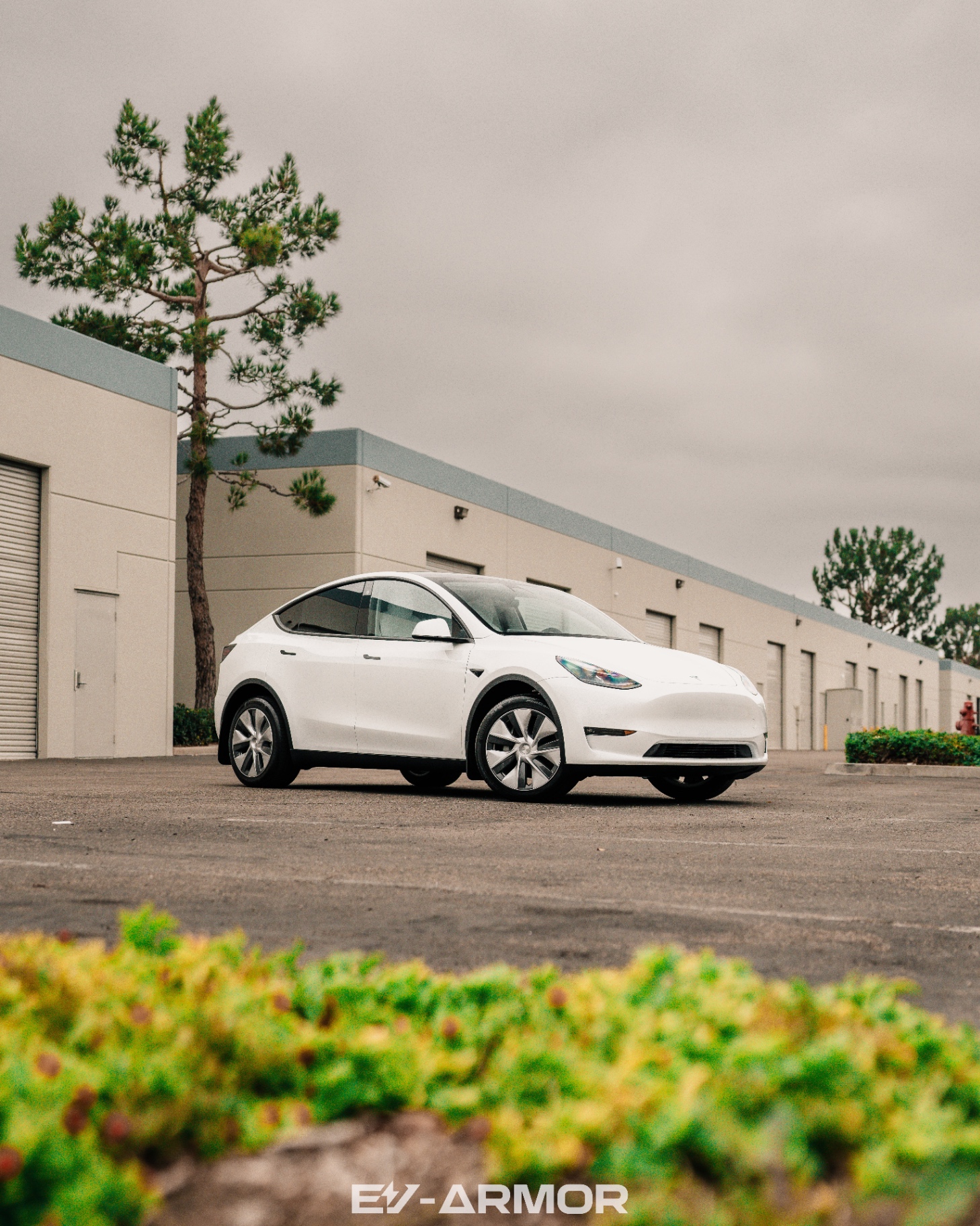 EV Armor - Tesla Protection Specialists | Orange County PPF, Ceramic ...